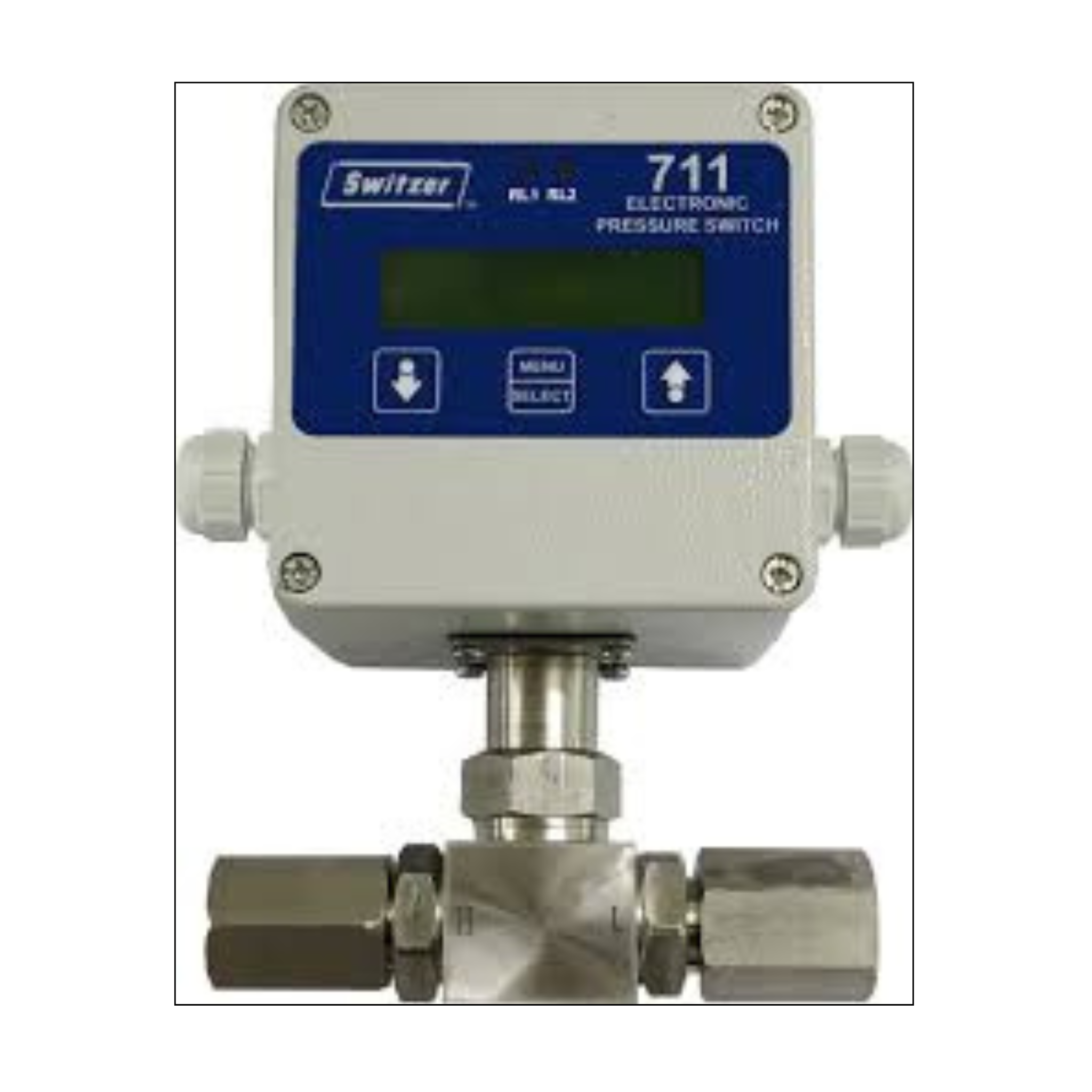 WIKA 711-R-B11-2-L-G-I-Z-Z - Flotronics